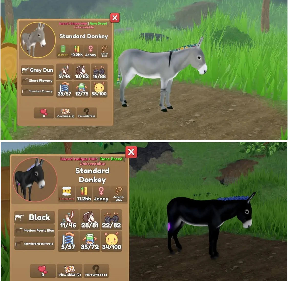 NEW DONK IUHS | Fandom