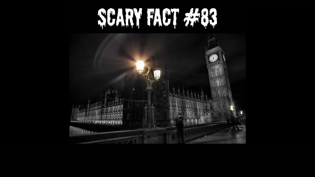 scary fact | Fandom