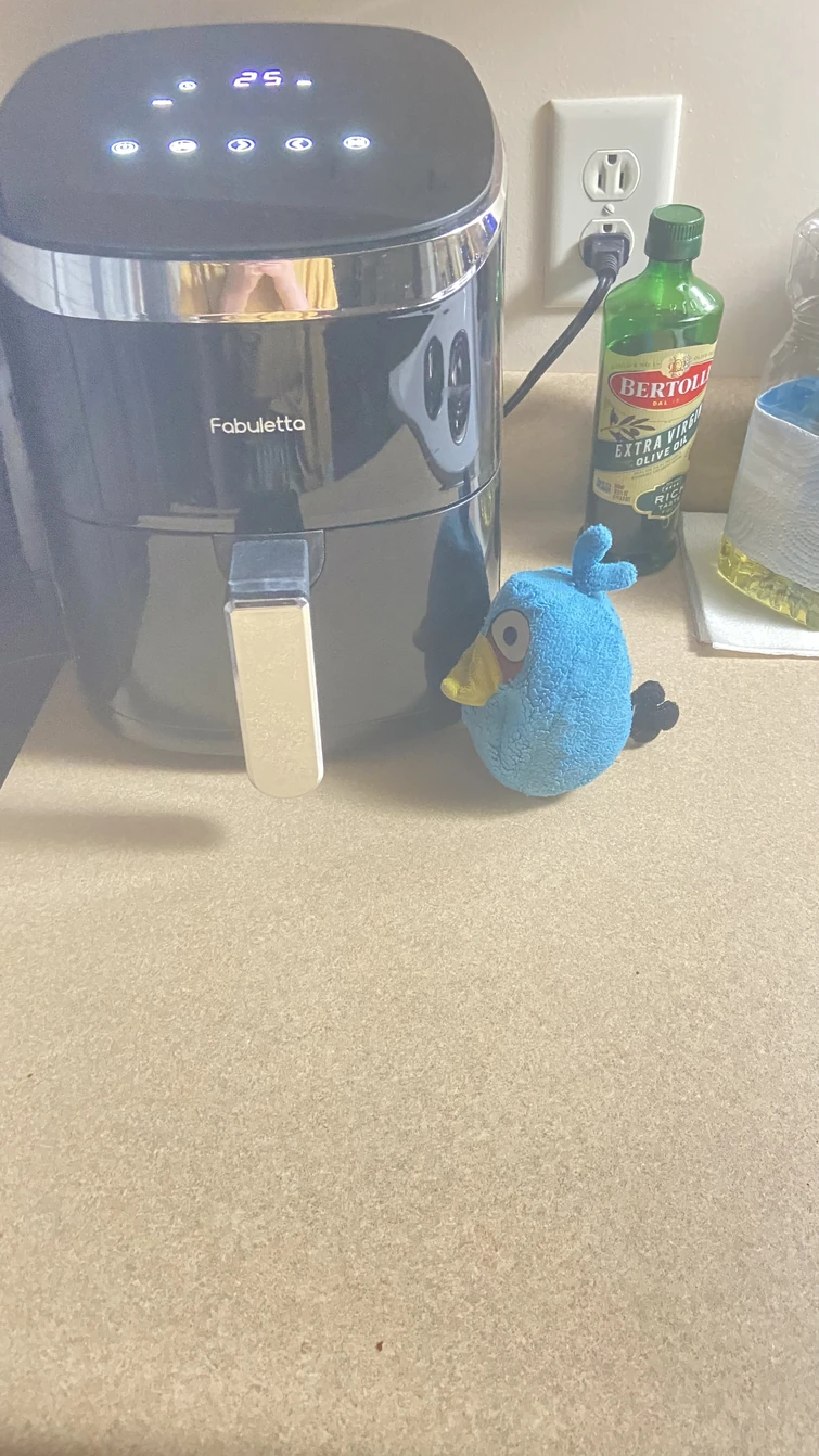 Jay is cooking something in the air fryer! | Fandom