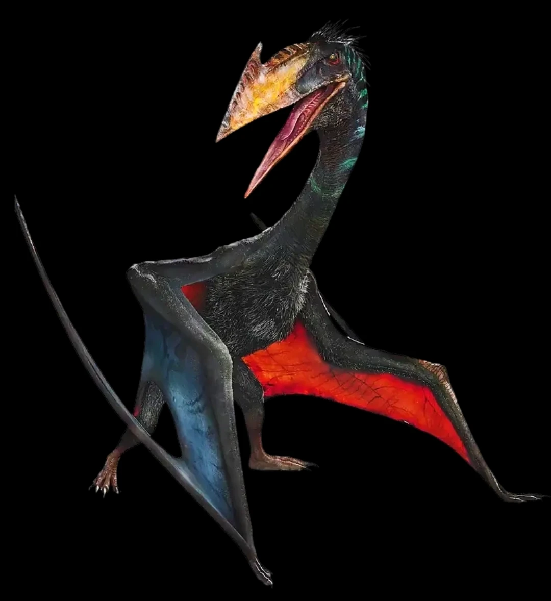 What pallete fits them? (Using Ptero since its the only Pterosaur I know of in CoS) | Fandom