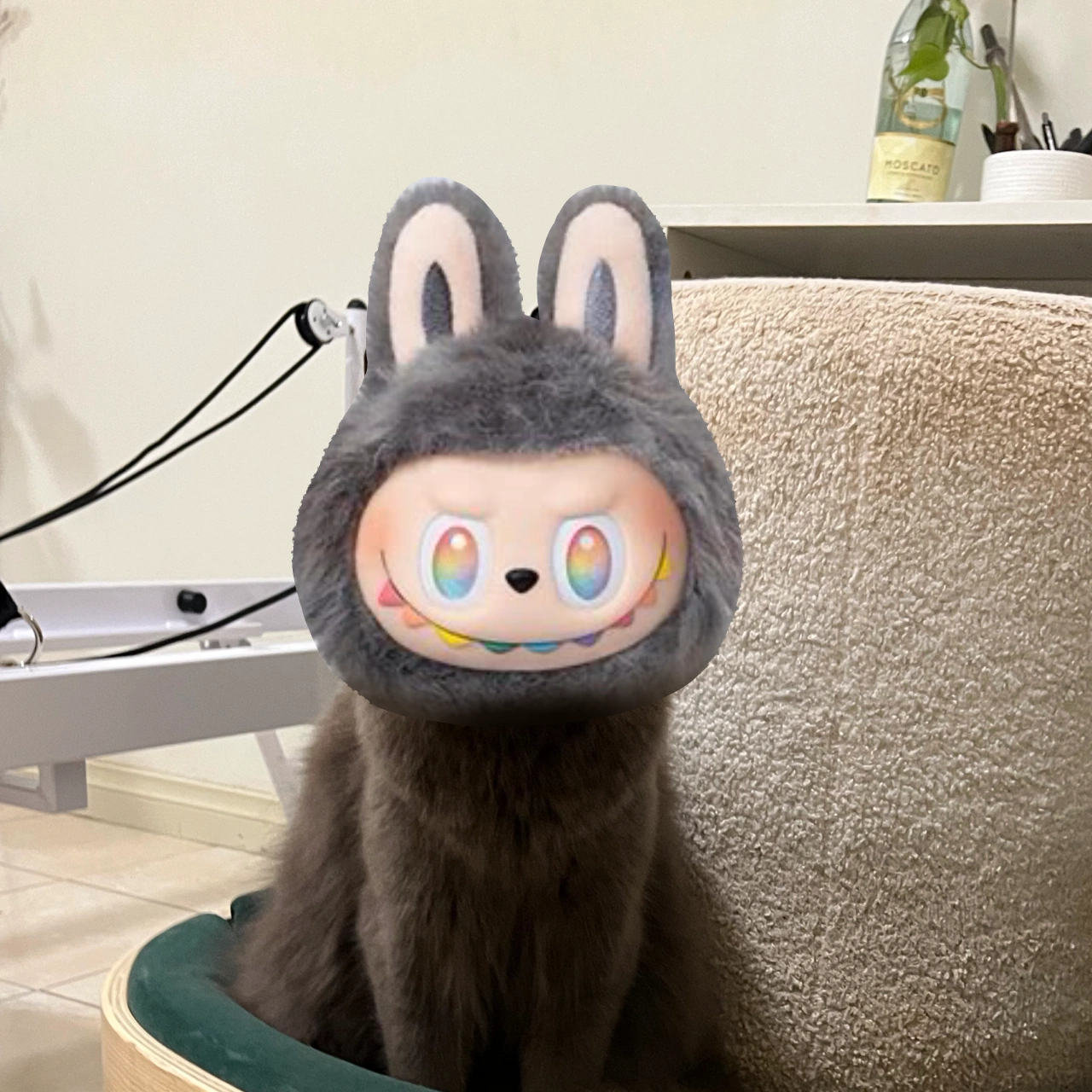Turn my cat into Labubu | Fandom