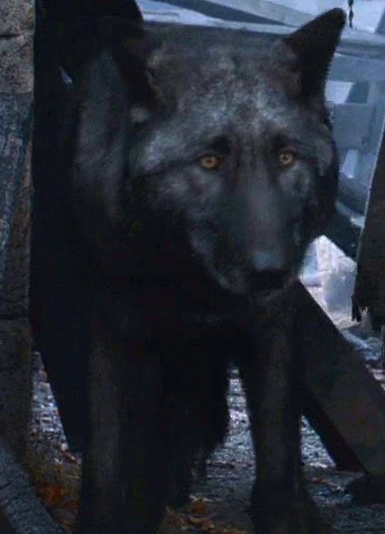 Discuss Everything About Wiki of Westeros | Fandom