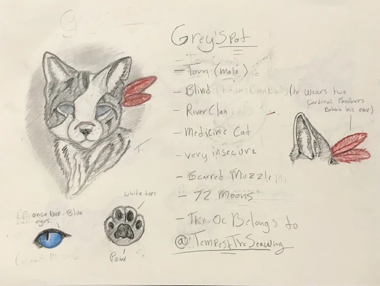 I drew my WC oc | Fandom