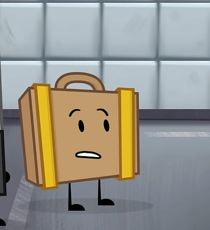 suitcase!! | Fandom