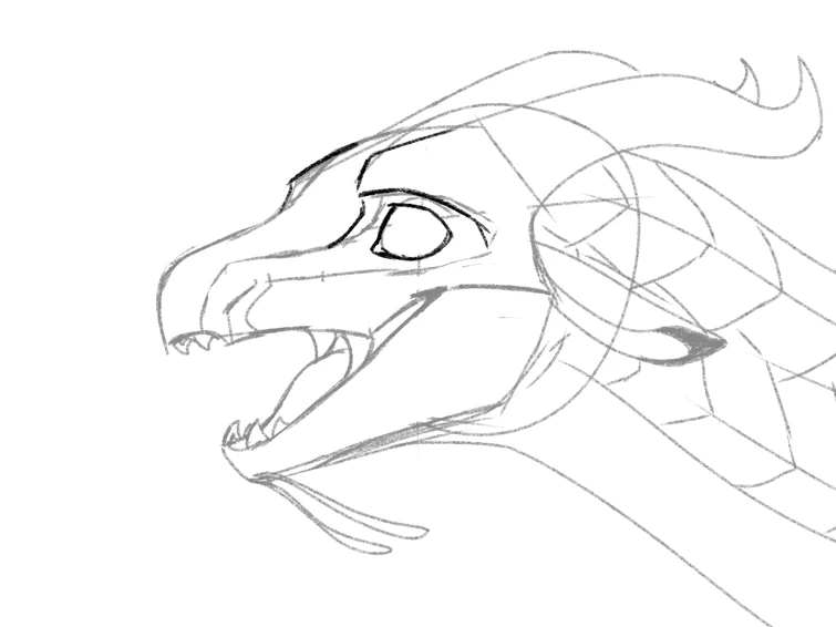 How to Draw Dragon Headshot Tutorial (SeaWing) | Fandom