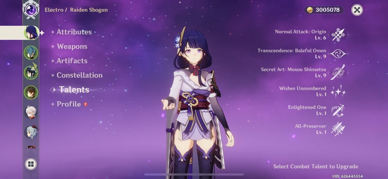 Rate my raiden build | Fandom