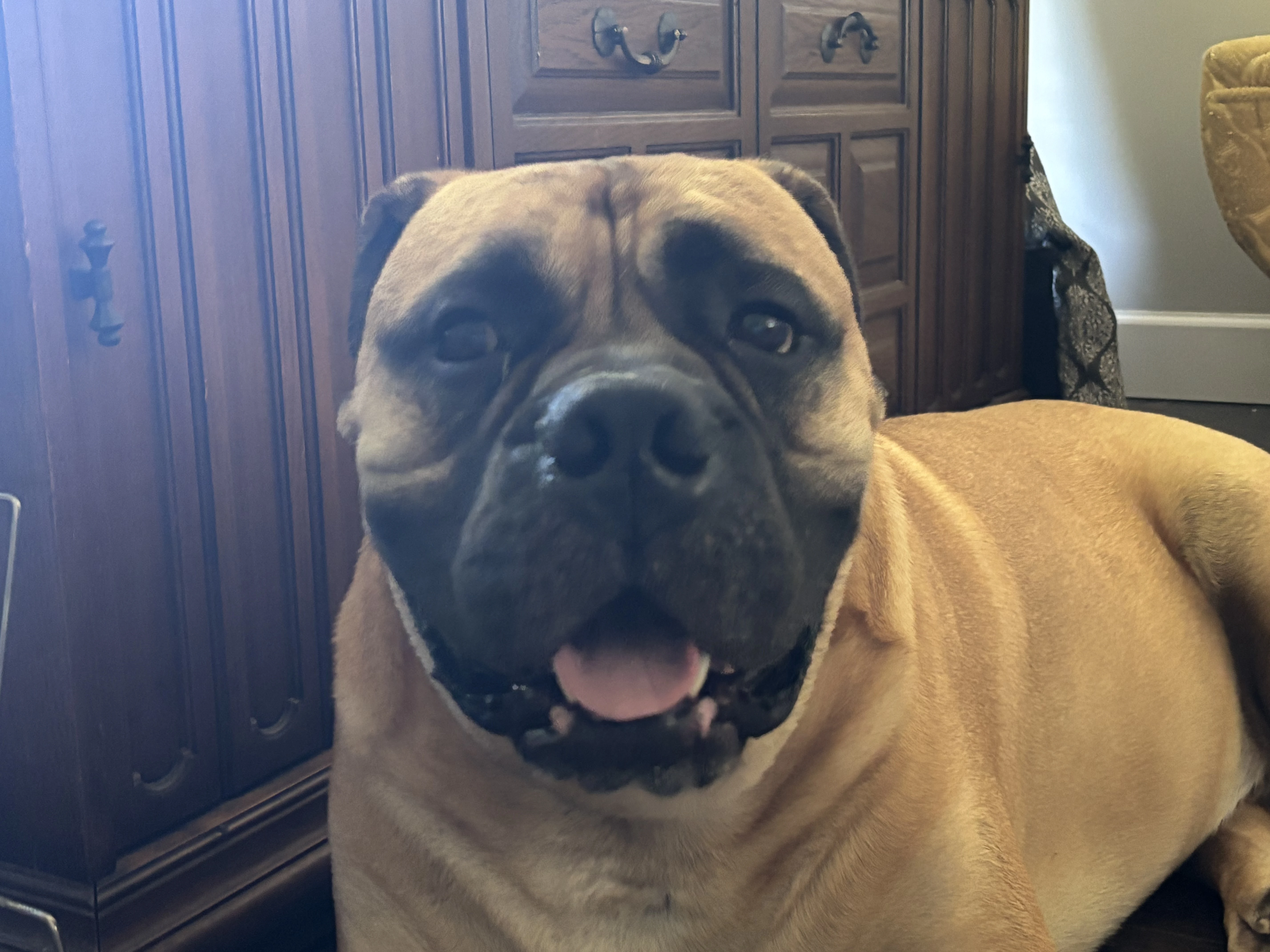 Meet Ryder | Fandom