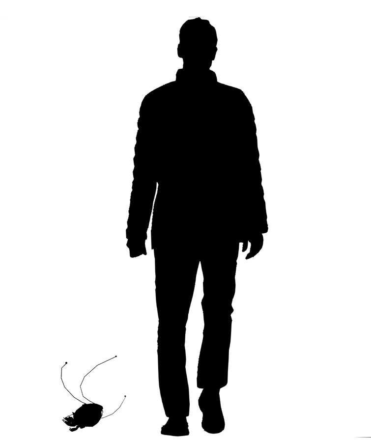 Rating how good COS creatures would be as pets: pt 1. Flipli | Fandom