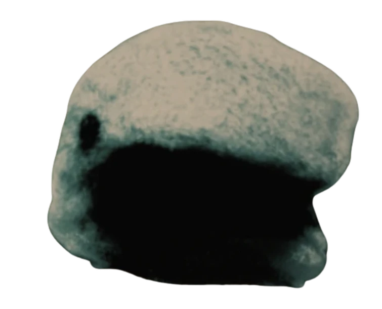 I cut out some Whiteys | Fandom