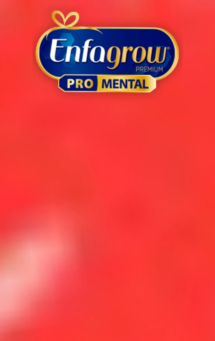 Enfagrow Pro Mental Leche Sabor Frutilla | Fandom