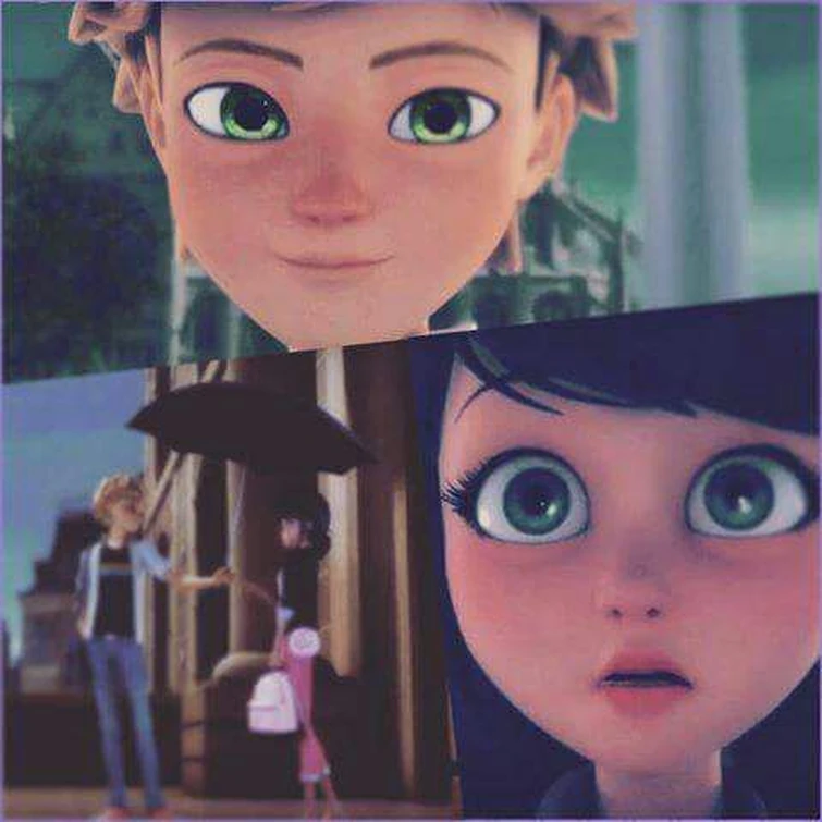 The first time 🖤🐞🐾 | Fandom
