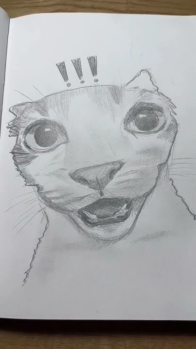 IM (not) SIGMA | Fandom