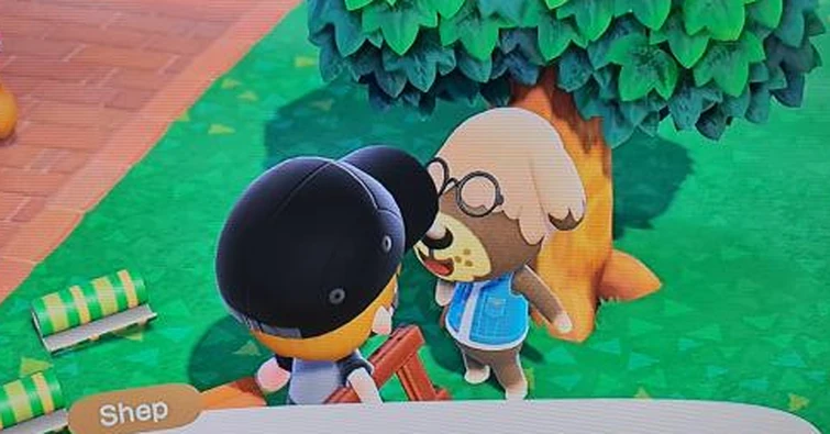have you ever seen shep with glasses? | Fandom