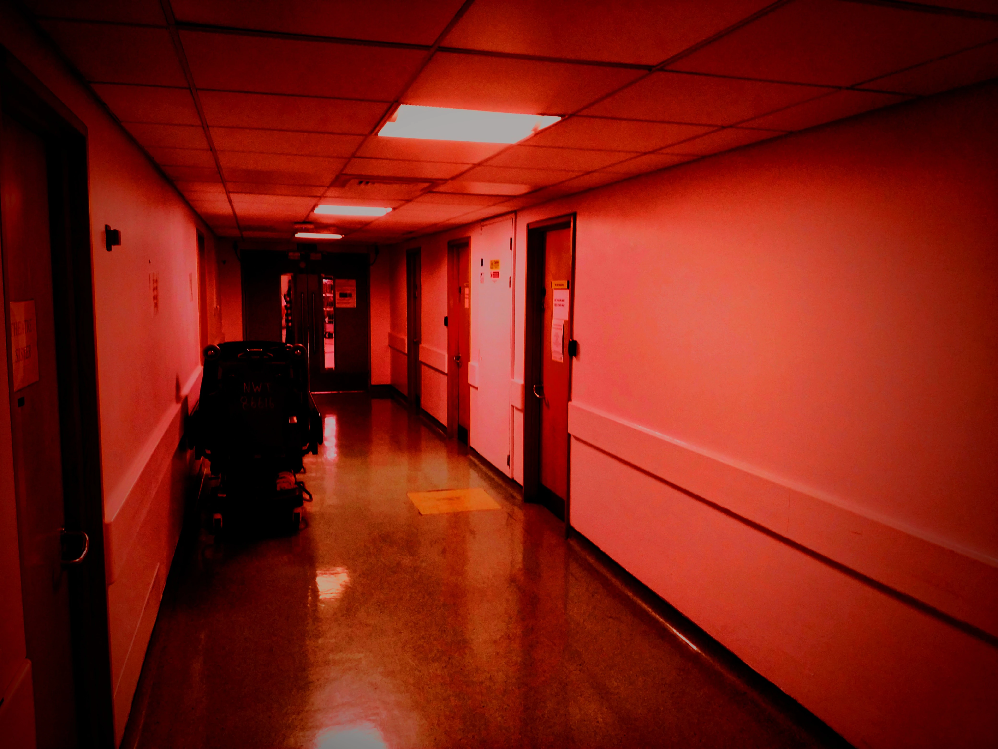 Another photo I took | Fandom