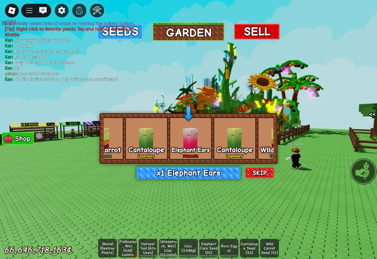 Elephant Ears | Fandom