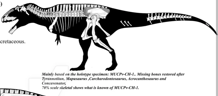 Why Giganotosaurus sucks (from the research perspective!) | Fandom