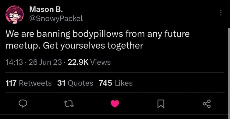 people were bringing body pillows to the meetup | Fandom