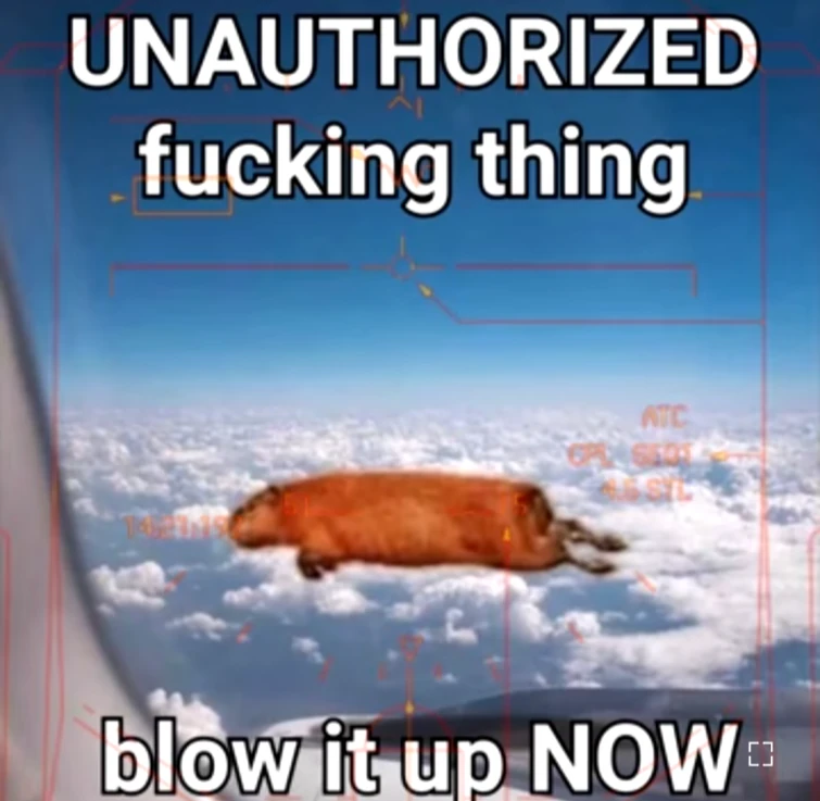 Discuss Everything About Somewhere, Wales ROBLOX Wiki | Fandom