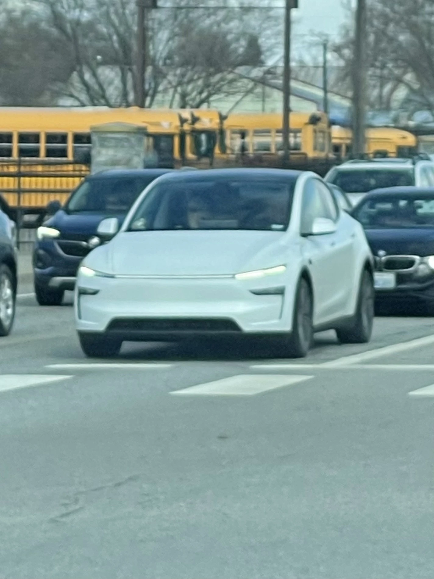 first time seeing a model y refresh irl | Fandom