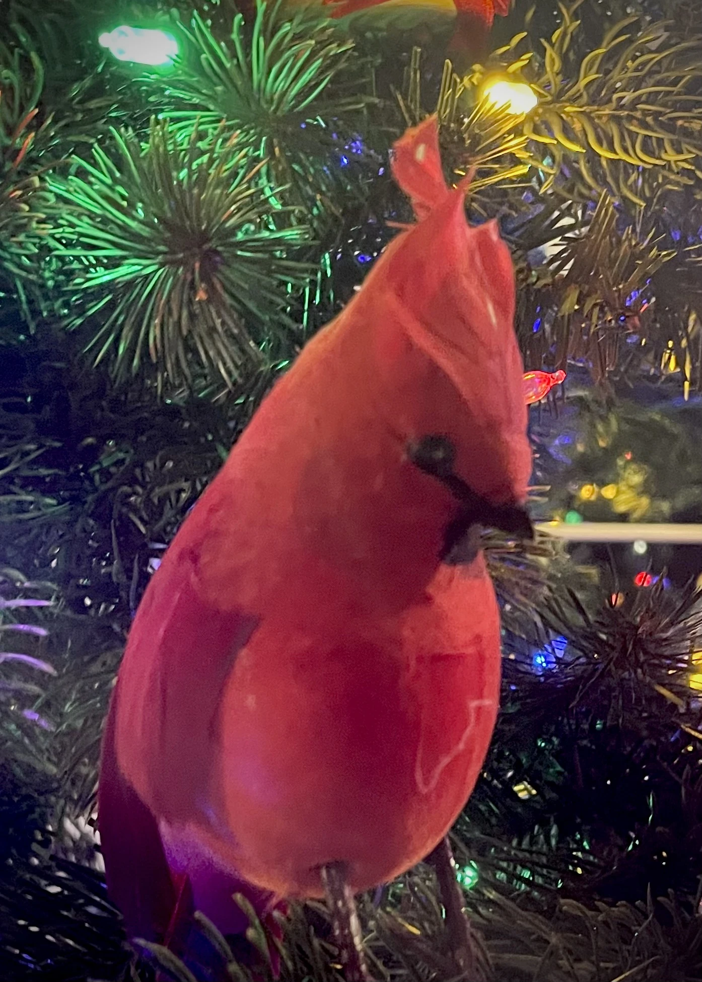 My tribute to Flapjack | Fandom