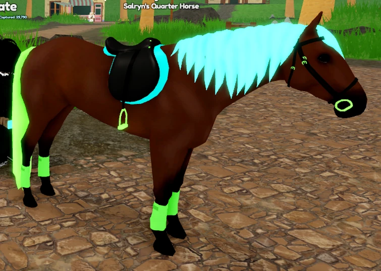 Discuss Everything About Wild Horse Islands Wiki | Fandom