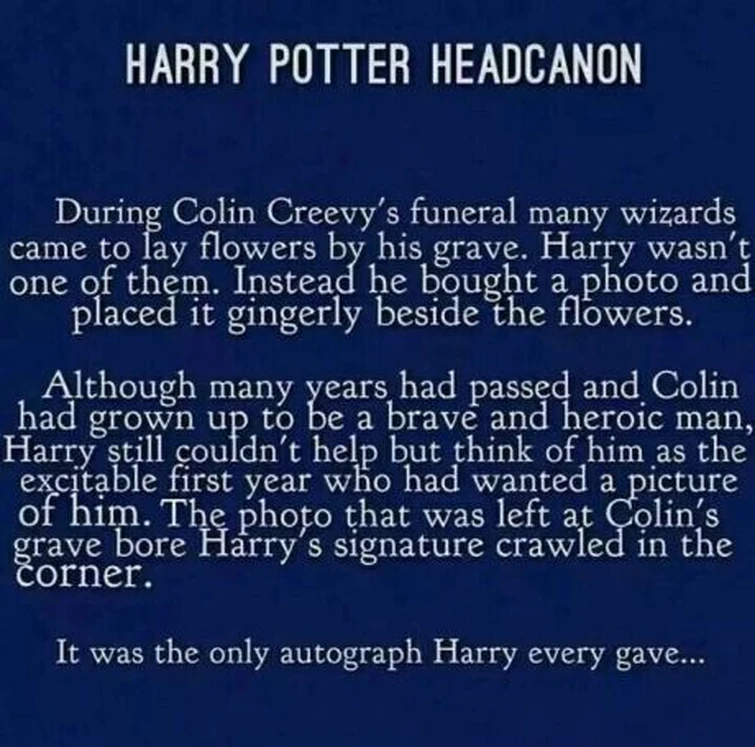 A few Harry Potter Headcanons I wanted to share because I'm quite evil ...