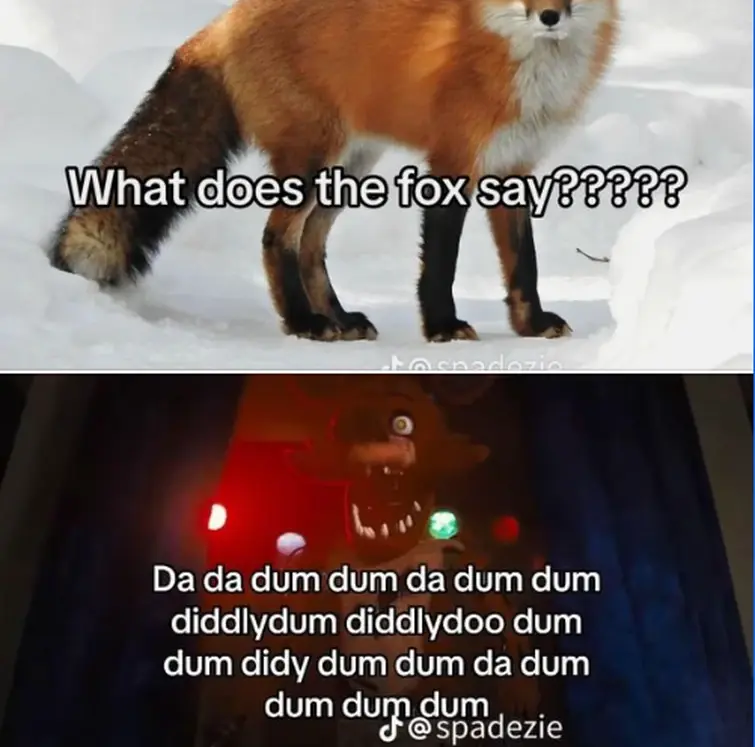 I DELCARE THIS.... A MEME DUMP! | Fandom