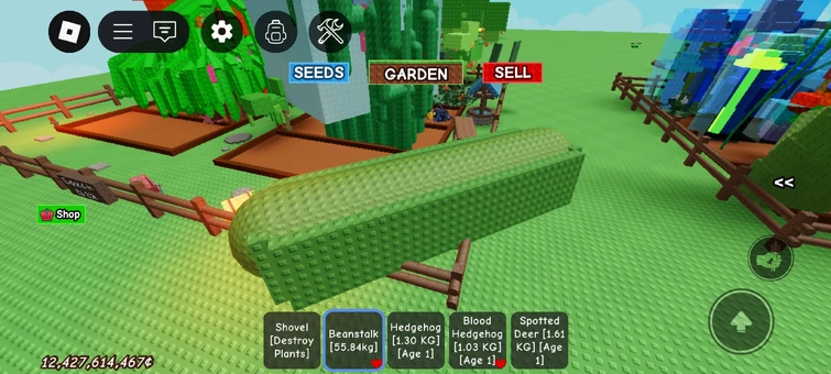 Biggest beanstalk? | Fandom