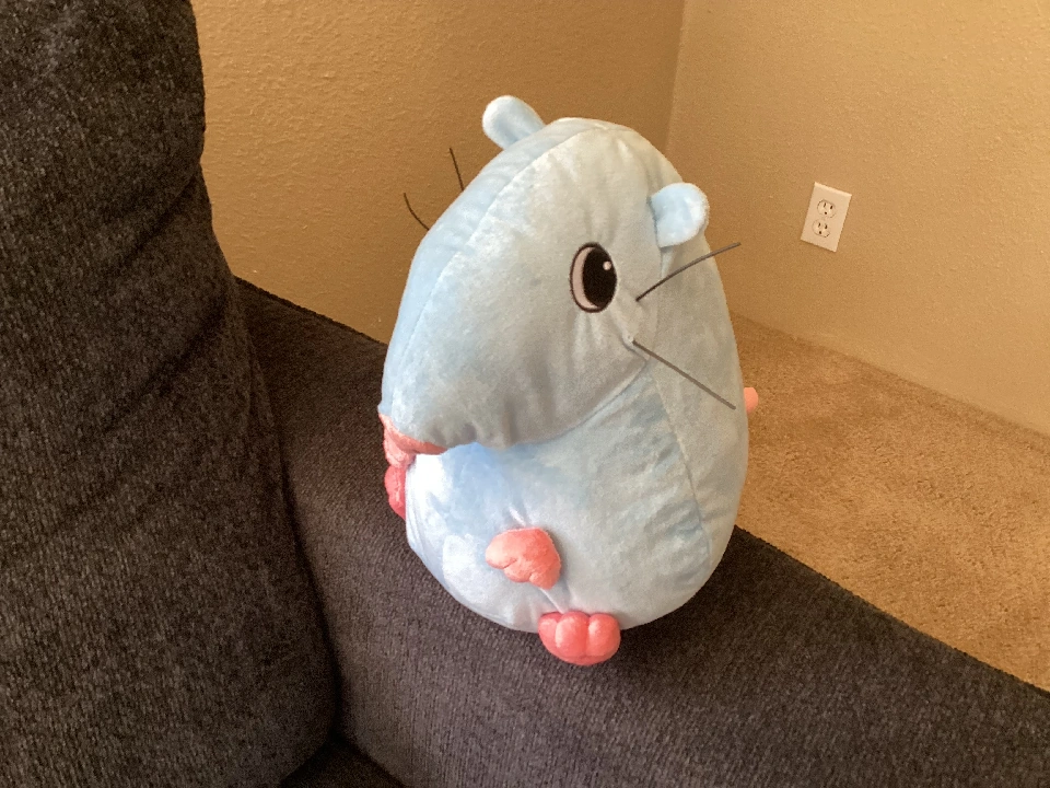 The Stupid Rat plush arrived | Fandom