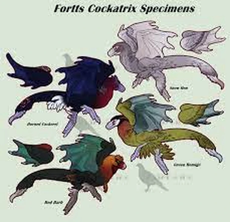 Idea (Cockatrice Remodel) | Fandom