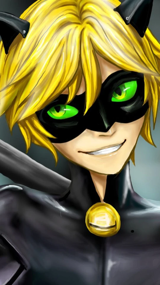 Chat noir ? | Fandom