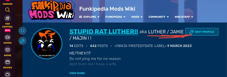 FUNKIPEDIA SLANDER: MINI YET STILL SEMI TRUE SHINDIGS #1 | Fandom