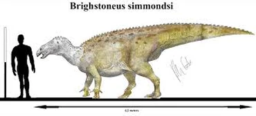 What should the Brighstoneus look like in the dinopedia prehistoric ...
