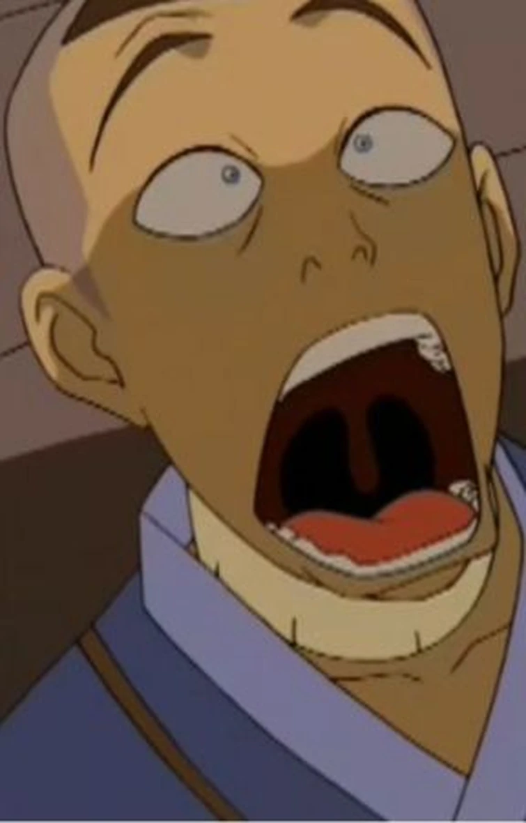 10 REASONS WHY YOU SHOULD NEVER PAUSE ATLA!!! | Fandom