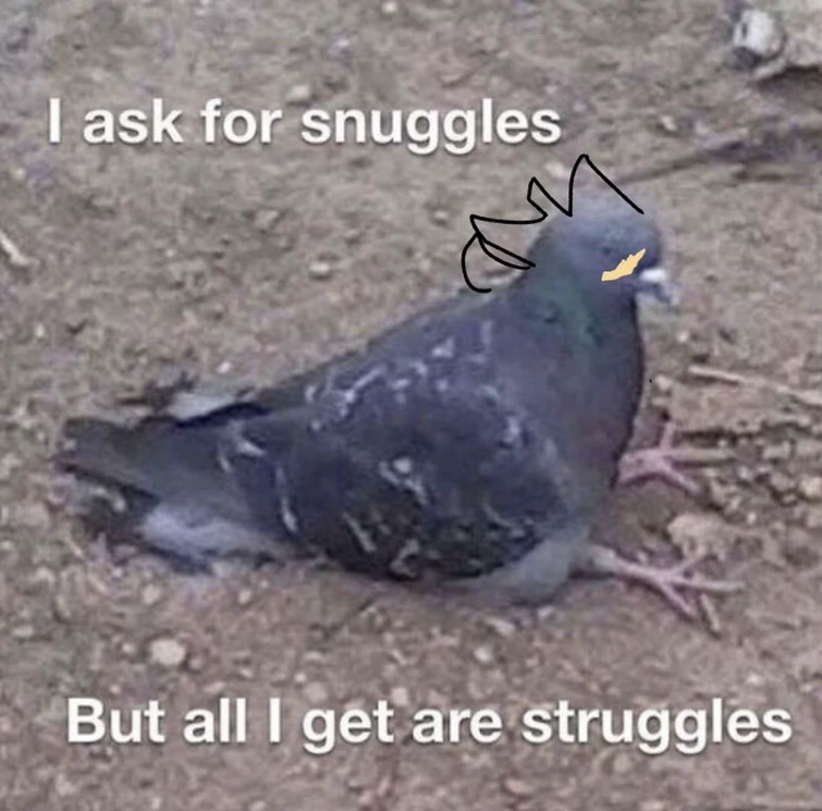 BRO I AM CRYING | Fandom