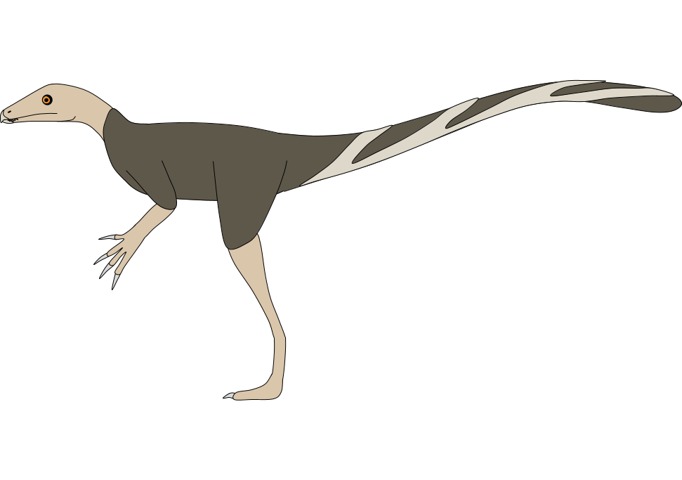 Venetoraptor | Fandom