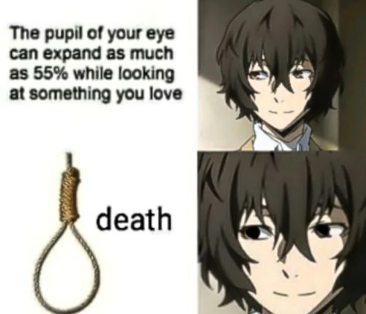 DAILY DOSE OF BSD MEMES 7 | Fandom