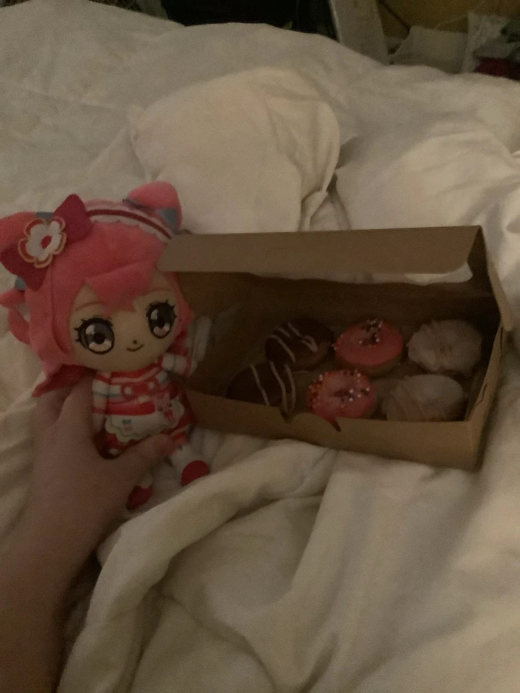 Cure precious and the mini donuts | Fandom