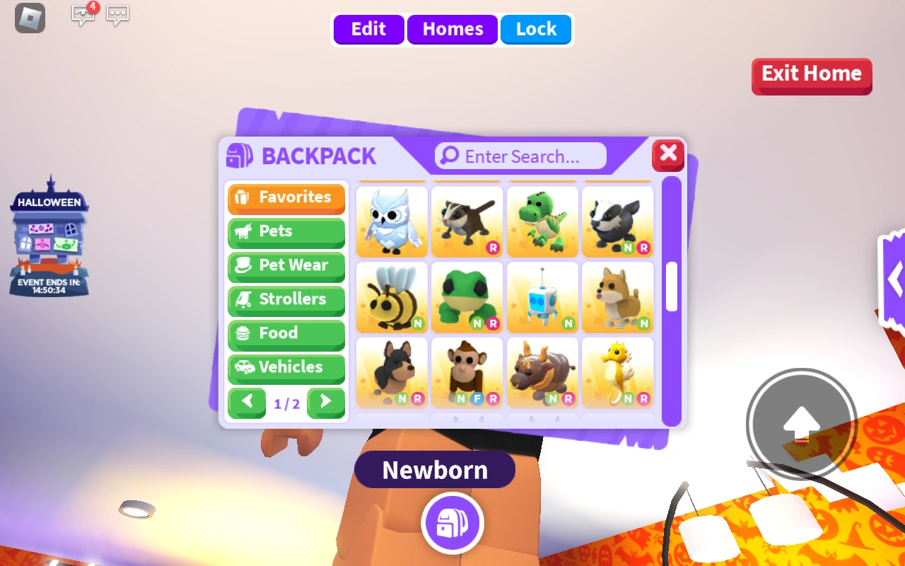 Trading! Lf: Old Pets | Fandom