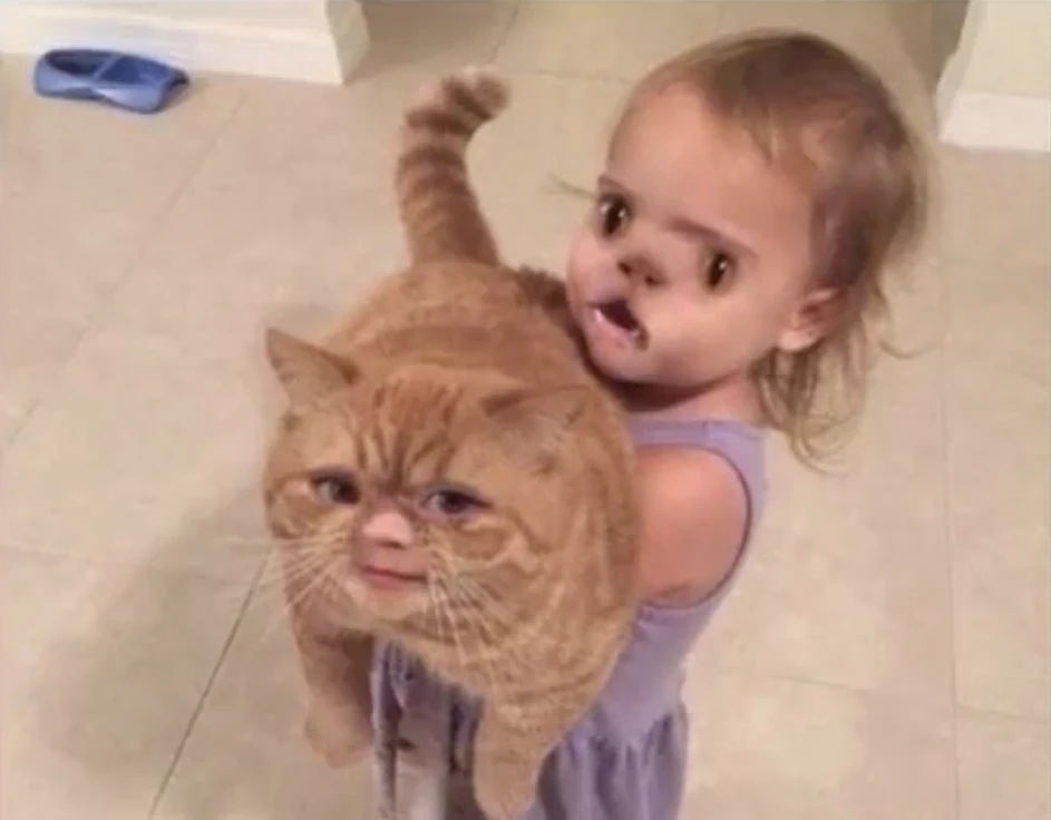 So I was watching a Giofilms video about r/tihi and… | Fandom