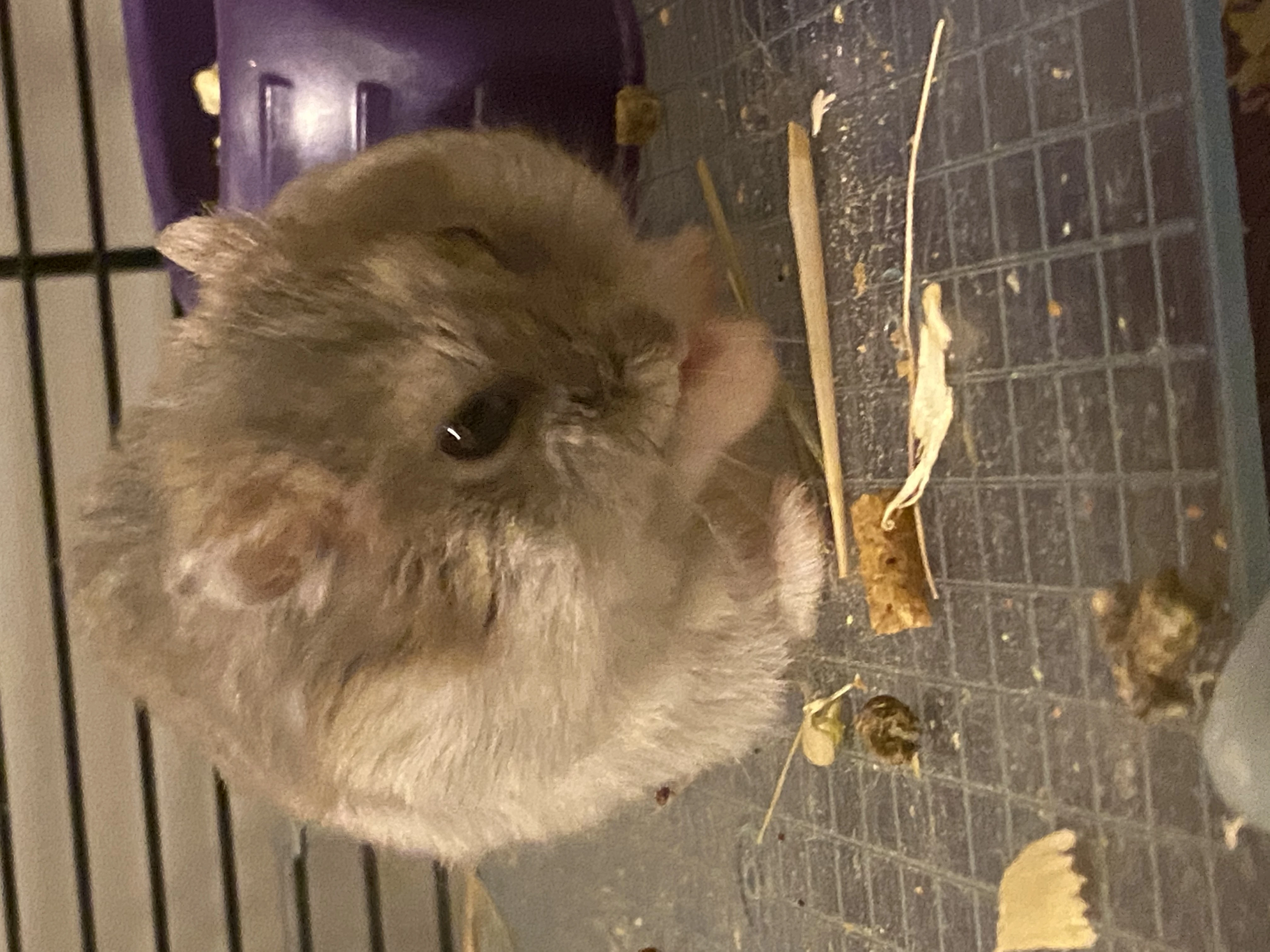 Hi peeps :) | Fandom