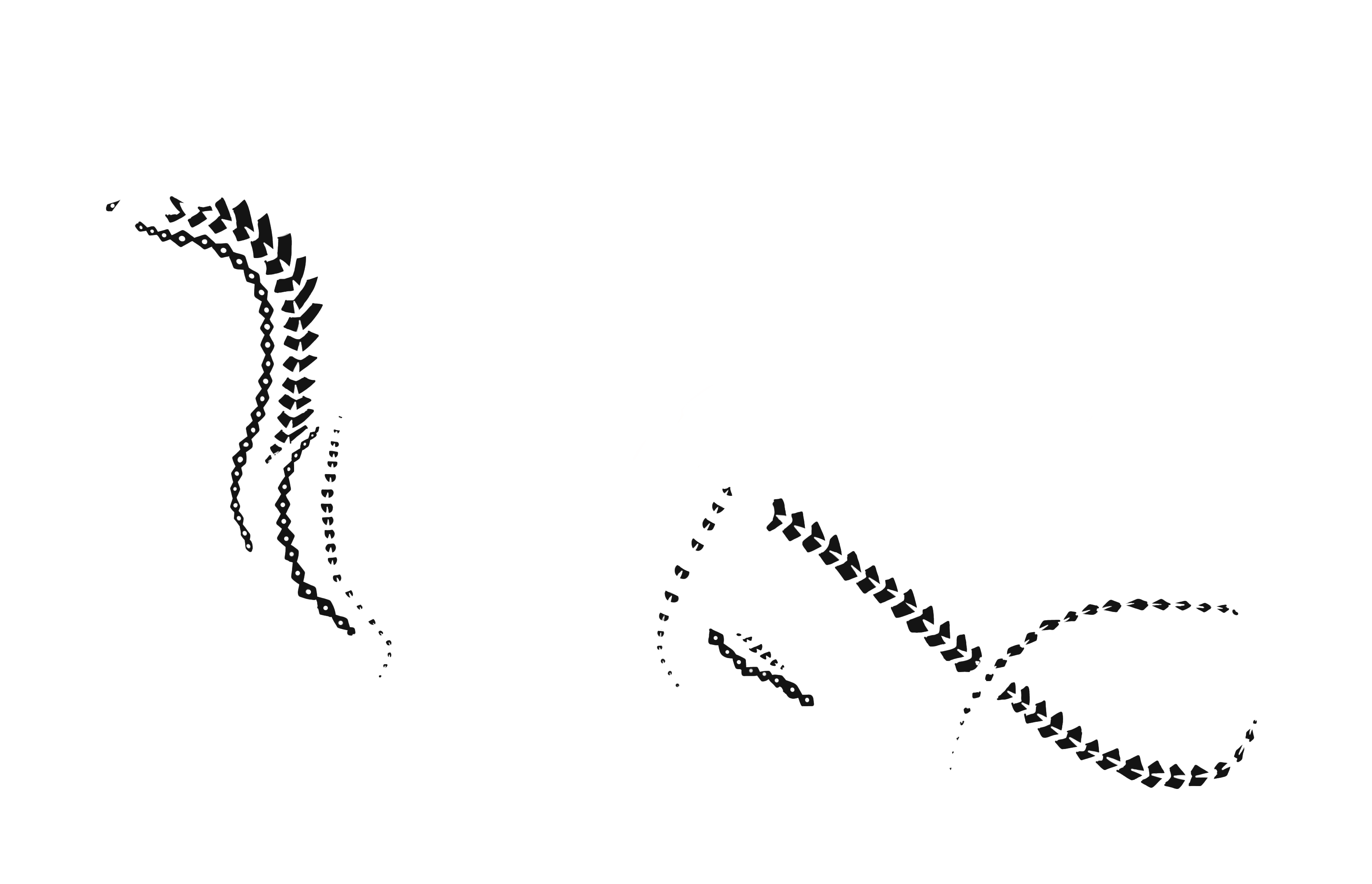 Pattern and onyx | Fandom