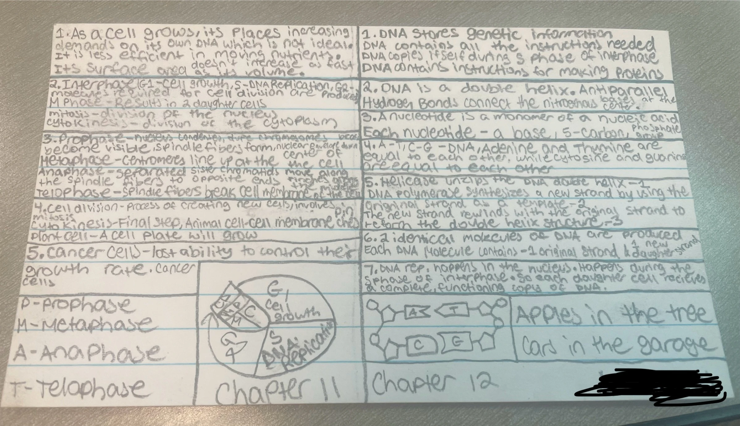 oh notecard for biology!! | Fandom