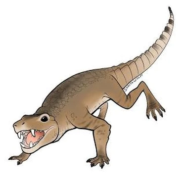 Discuss Everything About Dinopedia | Fandom