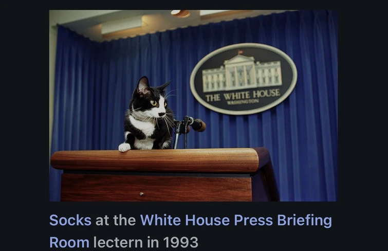 Cute presidential pets | Fandom