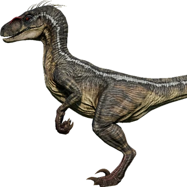 Favorite Velociraptor Part 2 | Fandom