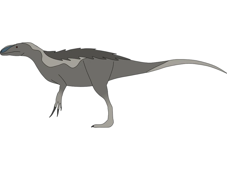 Maip Macrothorax | Fandom