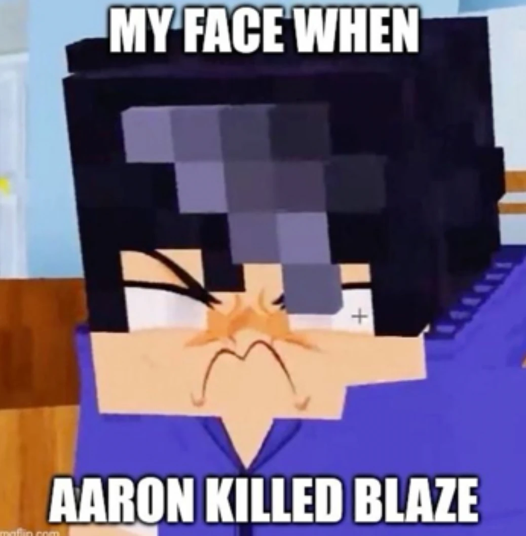 Meme | Fandom