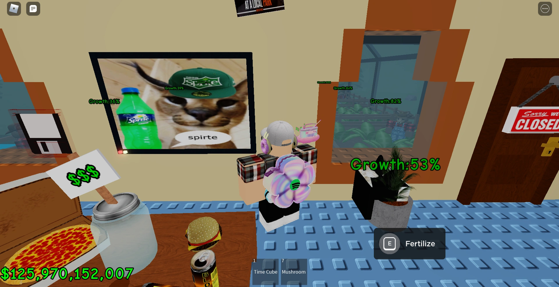 my gyakko and grumpy cat stuck on catnip plant | Fandom