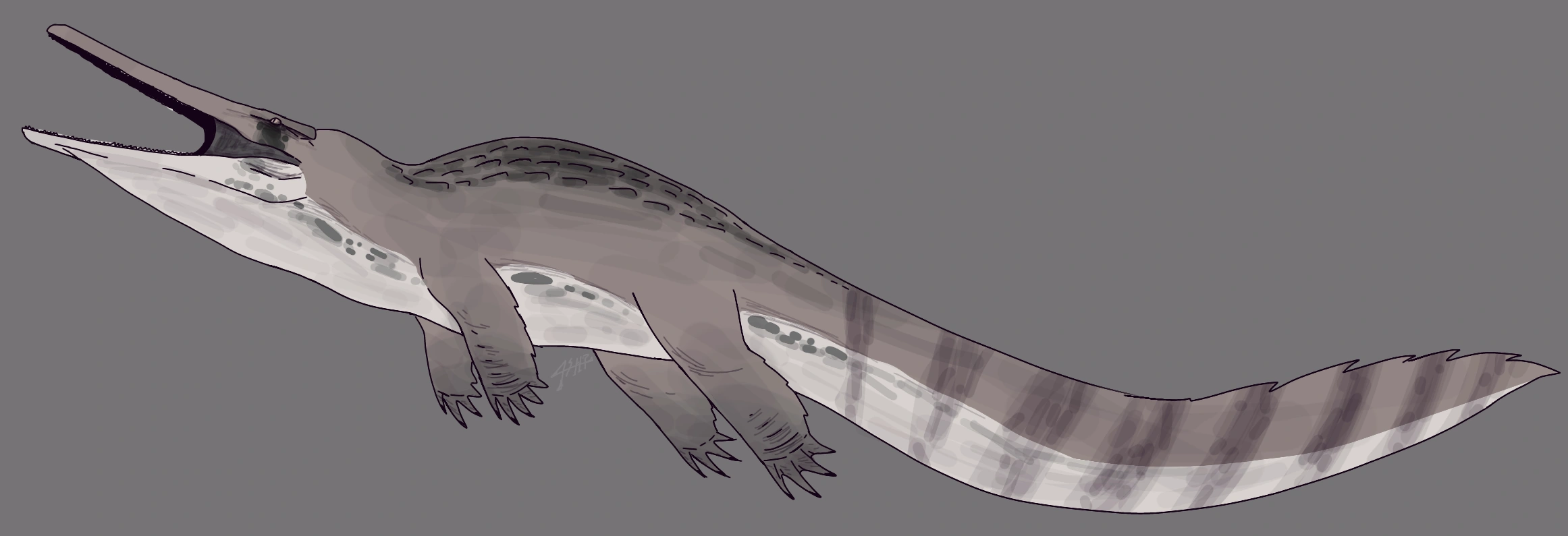 Stomatosuchus inermis drawing | Fandom